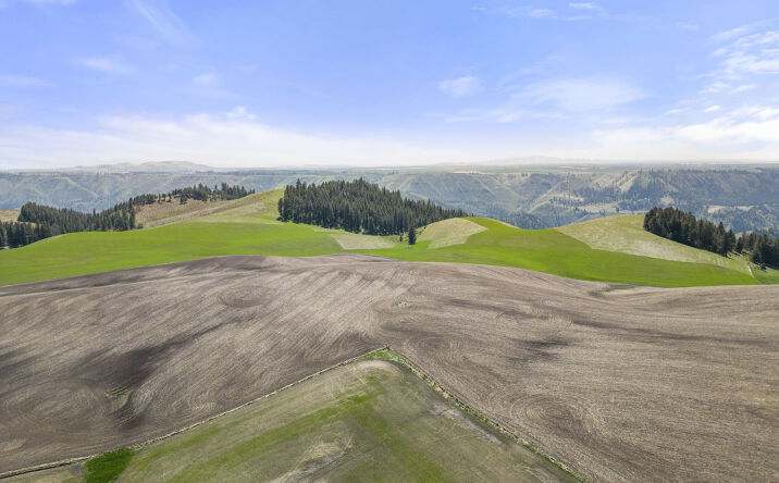 151 Ranta Rd, Kooskia, ID 83539 | Crexi.com