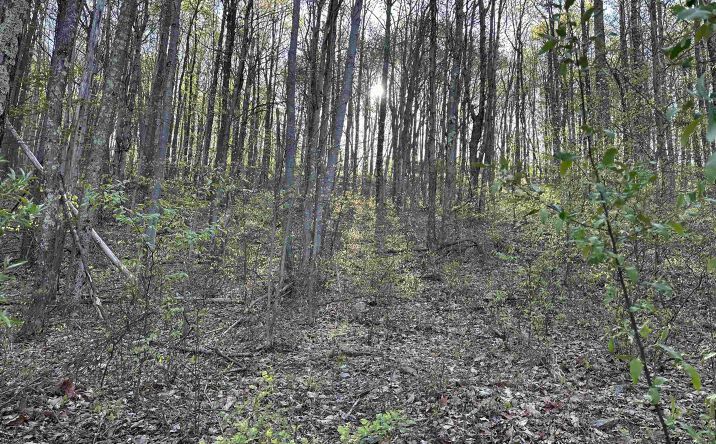 73 Christa Jeau Lea Lane, Grafton, WV 26354 | Crexi.com