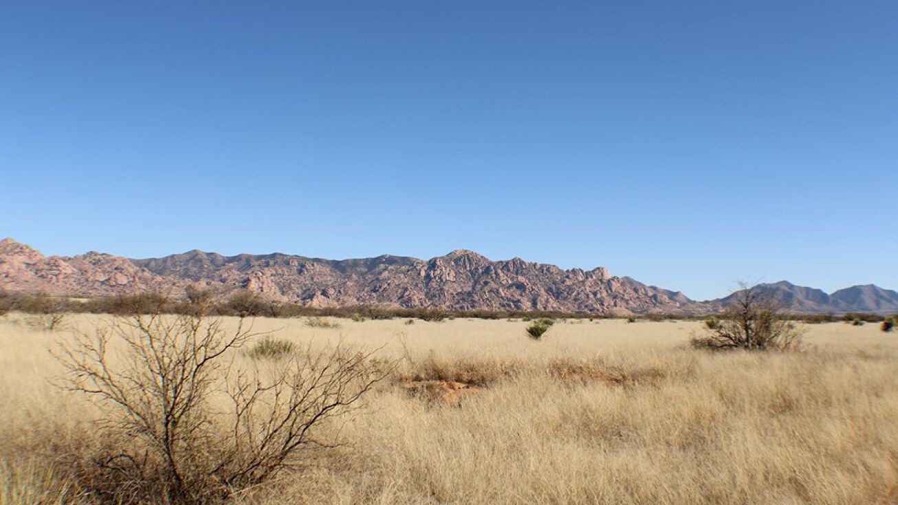 E Cochise Trl Lot 3,, Saint David, AZ 85602 | Crexi.com