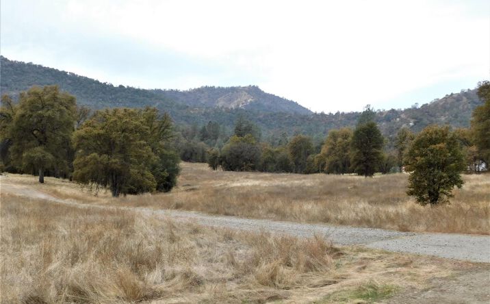 Angela DeSantis - Century 21 Cheney Enterprises | Crexi