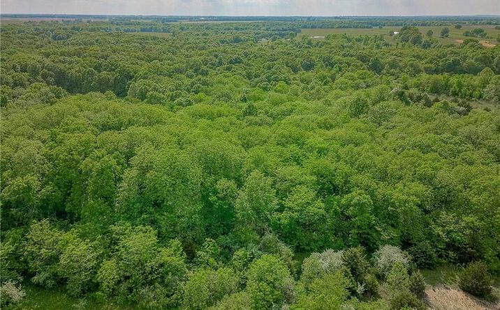 TBD SW 831st Road, Holden, MO 64040 | Crexi.com