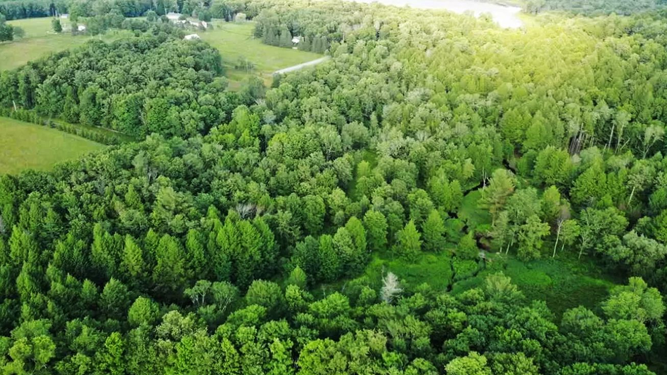 P6FC+RHR Harris, New York, USA, Harris, NY 12734 - Land for Sale - #NY-411