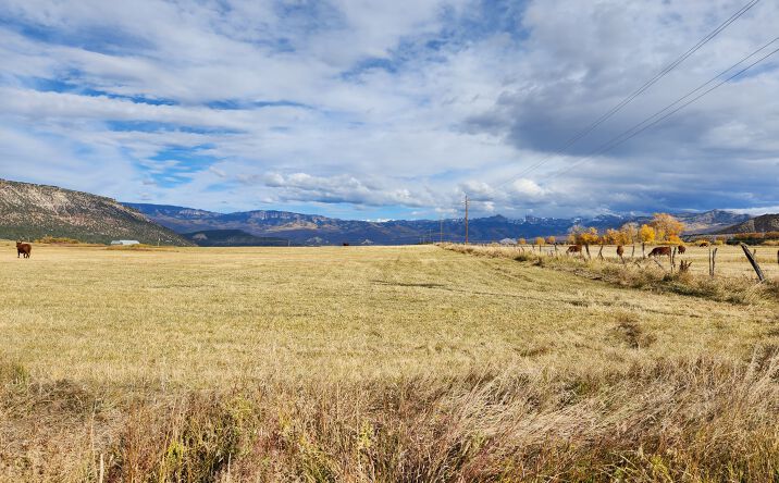 195 COUNTY ROAD 24C Ridgway CO 81432-9708 APN: R003627 | Crexi.com