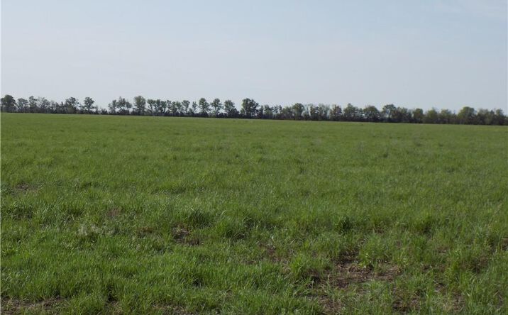 W Arlington Road, Langdon, KS 67514 | Crexi.com