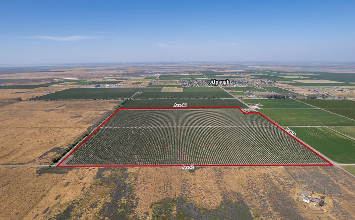 4595 Rd 38, Alpaugh, CA 93201 | Crexi.com