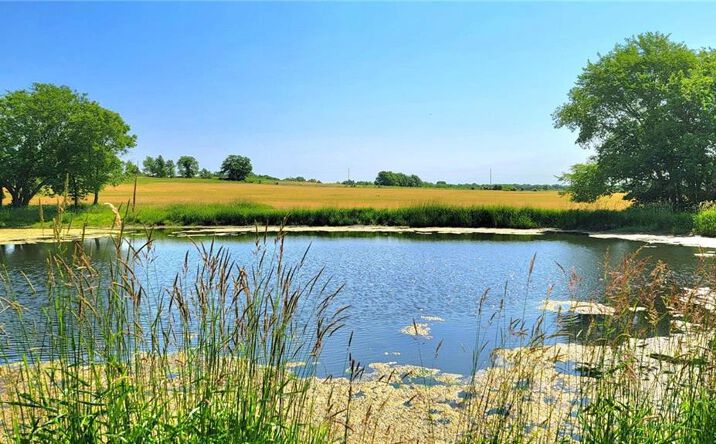 0000D S State Route D Highway, Drexel, MO 64742 | Crexi.com