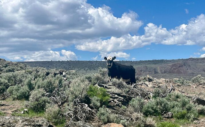 26277 Plush Adel Rd, Plush, OR 97637 | Crexi.com