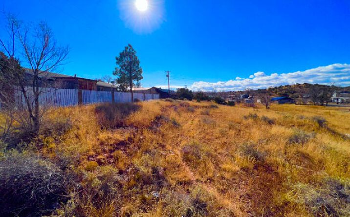 Not Provided Springerville AZ 85938 APN: 105-21-161 | Crexi.com