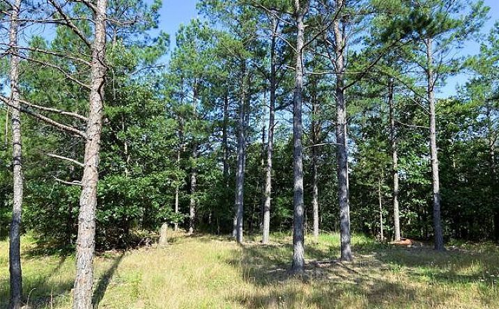 Rattan Trail, Rattan, OK 74562 | Crexi.com