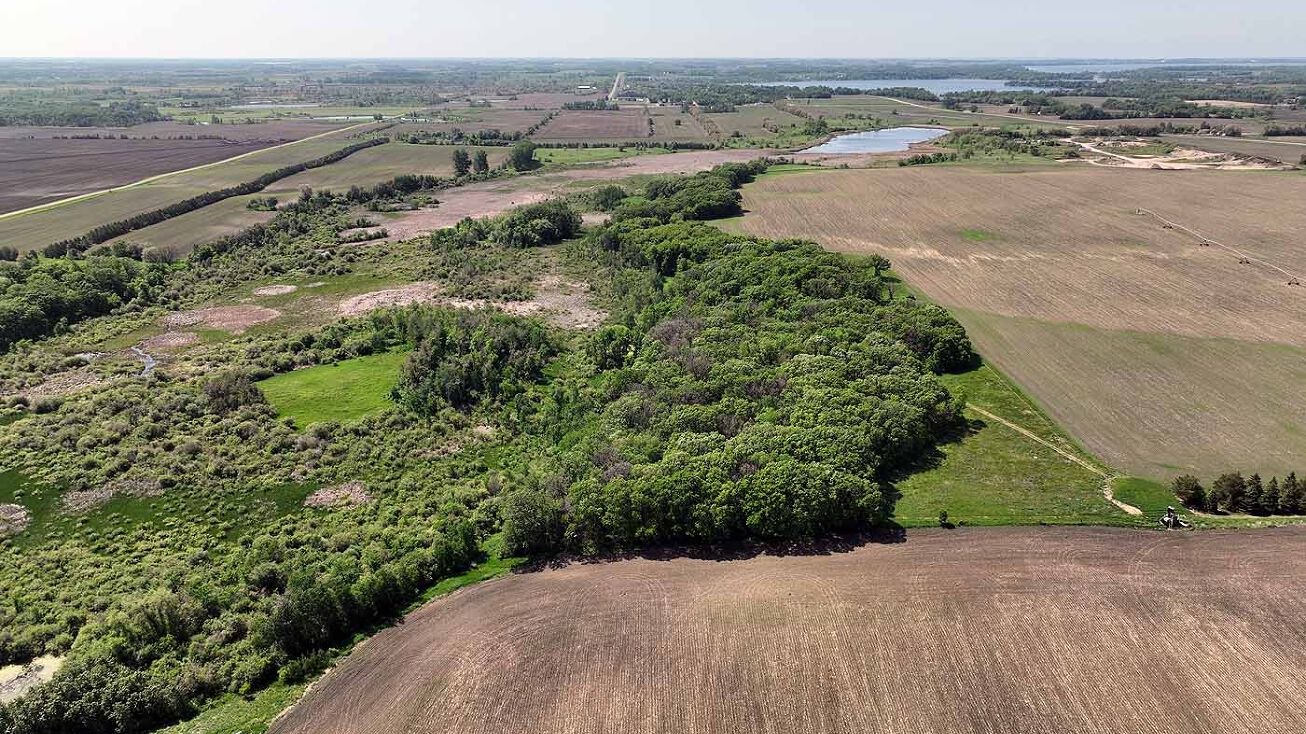 Brush Wolf Rd, Forada, MN 56308 - Land for Sale - 69+/- Acre near ...