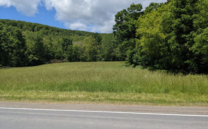 County Rt 13, Lot#WP001, Veterans Administration, NY 14810 | Crexi.com