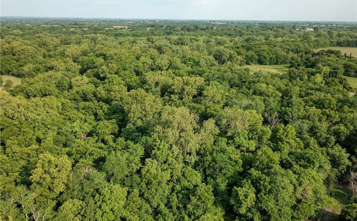 TBD SW 601st Road, Centerview, MO 64019 | Crexi.com