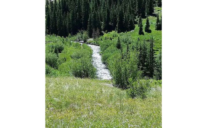 North Henson Creek Trail, Lake City, CO 81235 | Crexi.com