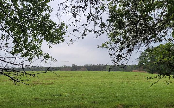 NHN Compton Ranch Rd, Poplarville, MS 39470 | Crexi.com