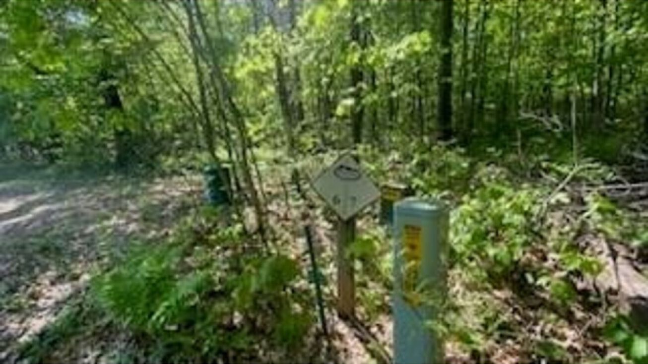 Lot 6 Dickerson Avenue, Willard, WI 54493 - Land for Sale - Lot 6 ...