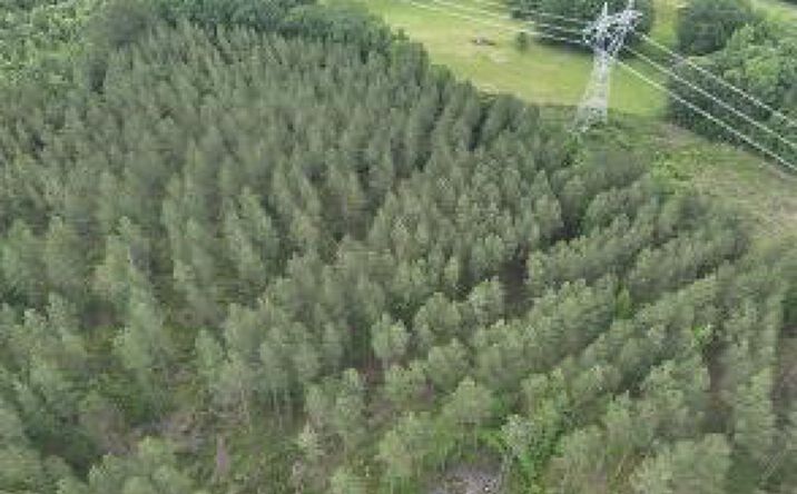 Attala County in Sallis, Sallis, MS 39160 | Crexi.com