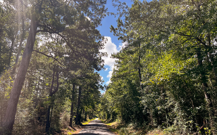 0 CR 366/CR 368, Zavalla, TX 75980 - Land for Sale - 6 Acres | T-1 | Saron