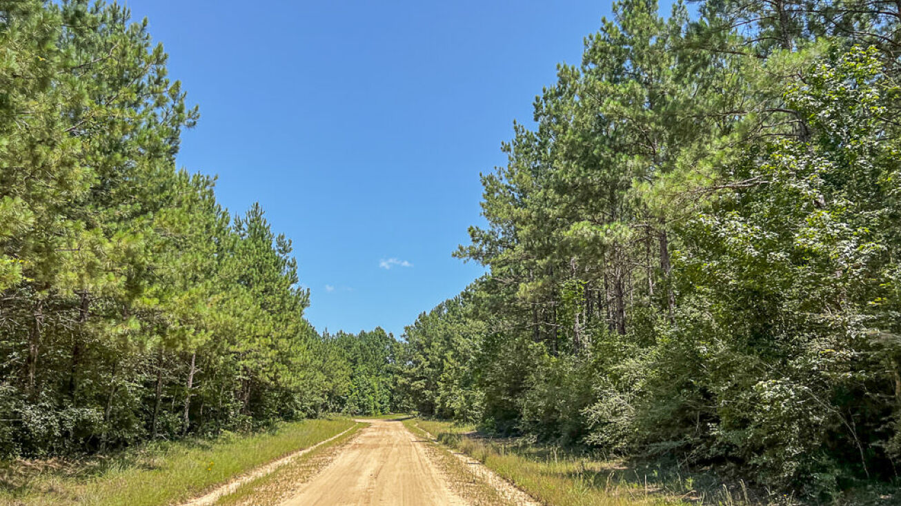 29 Acres | T-9 | Saron, Zavalla, TX 75980 | Crexi.com