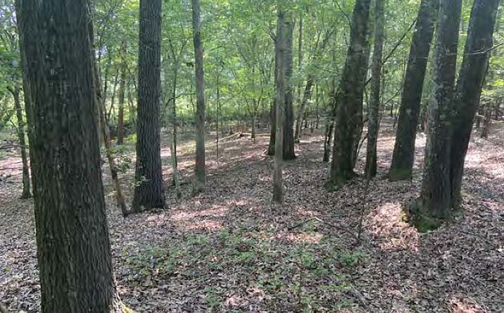 TERRY SHOP RD Fountain Inn SC 29644 APN: 0577.01-01-015.00 | Crexi.com