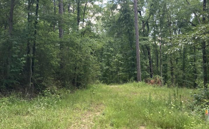 County Rd 2, Equality, AL 36026 | Crexi.com