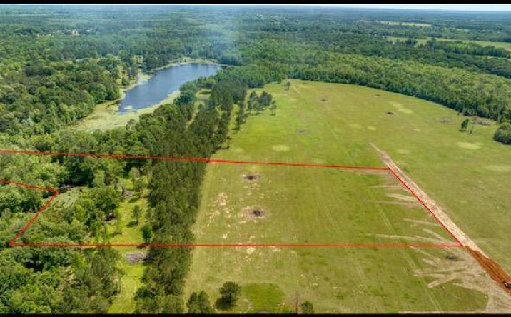 NHN Lot 1 HenleyField McNeil Rd., Carriere, MS 39426 - Land for Sale ...