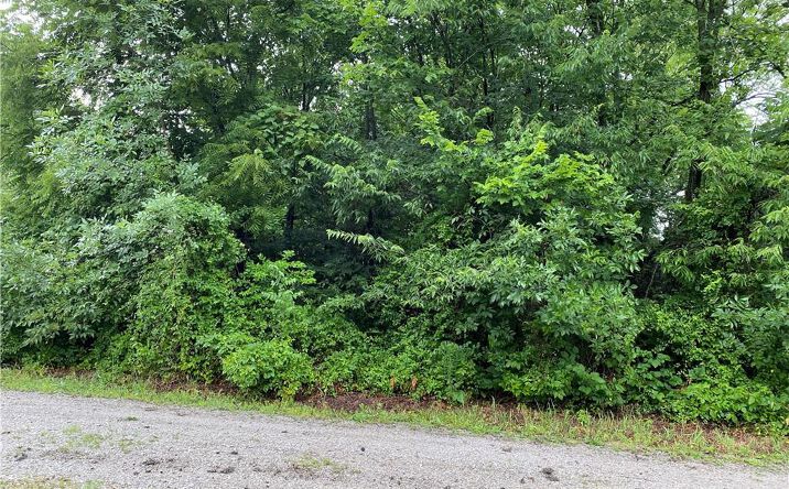 LOTS 292 & 293 N LYNE AVE Raymore MO 64083 | Crexi.com