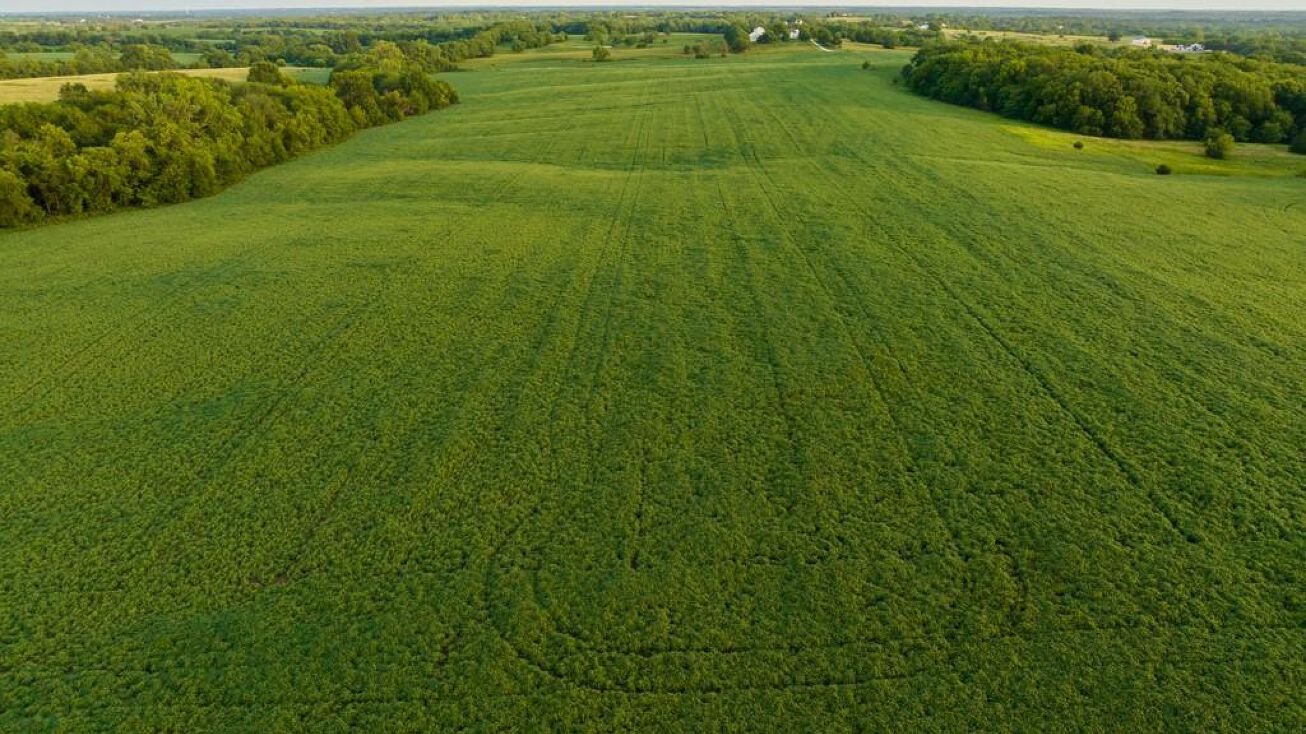 SSR W Highway, Kidder, MO 64649 | Crexi.com