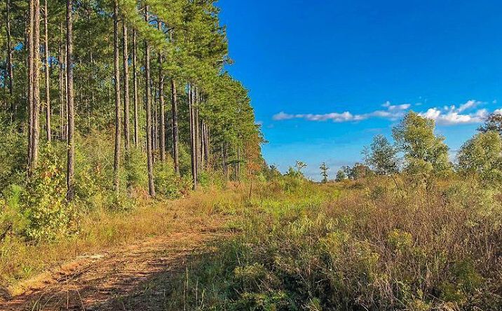 FM 223, Shepherd, TX 77371 | Crexi.com