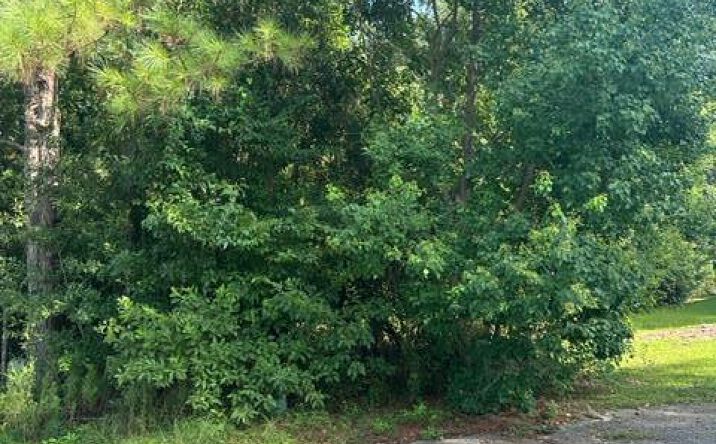 NHN Wild Cherry Trace, Carriere, MS 39426 | Crexi.com