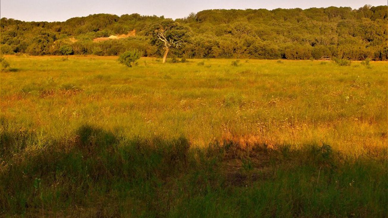 3595 Co Rd 108, Santa Anna, TX 76878 | Crexi.com