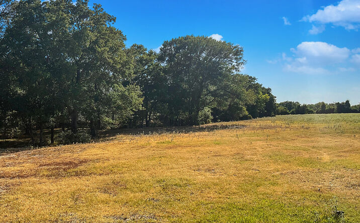 KNOX AVE Dime Box TX 77853 APN: 12616 | Crexi.com