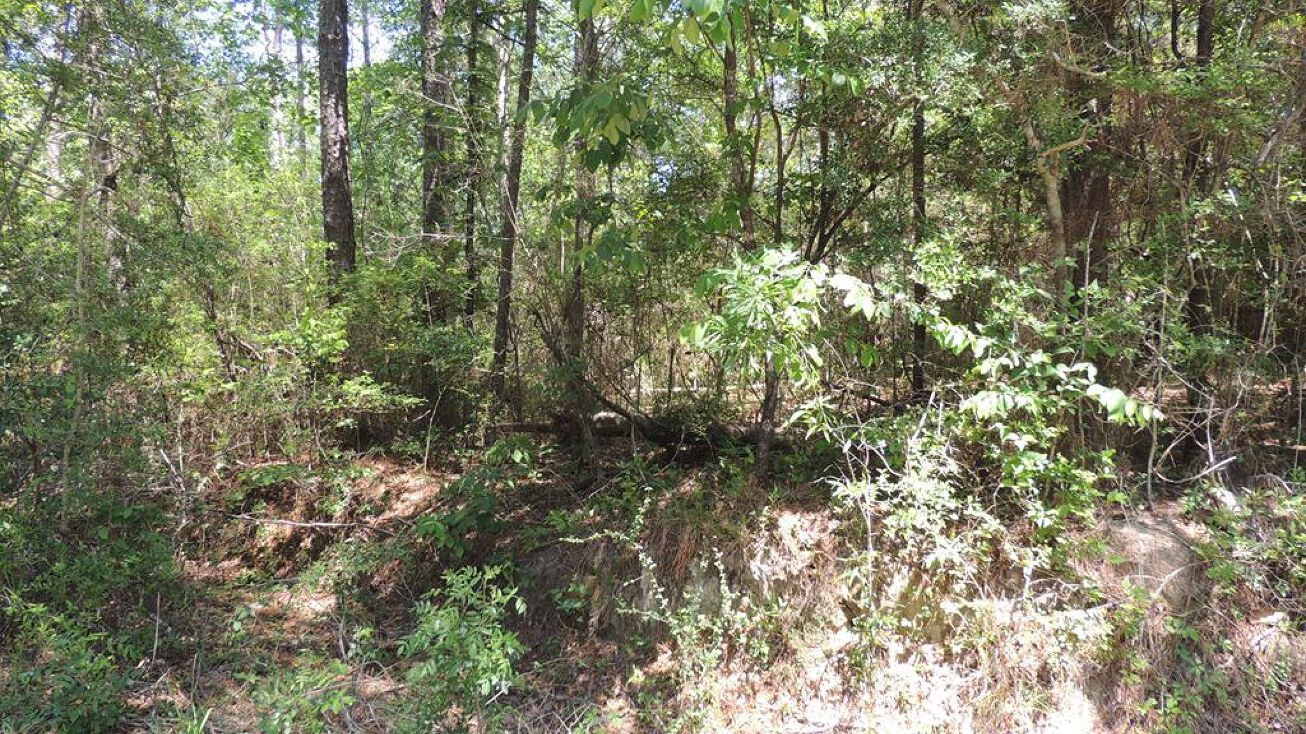 3-S of McNeil Henleyfield, Carriere, MS 39426 | Crexi.com