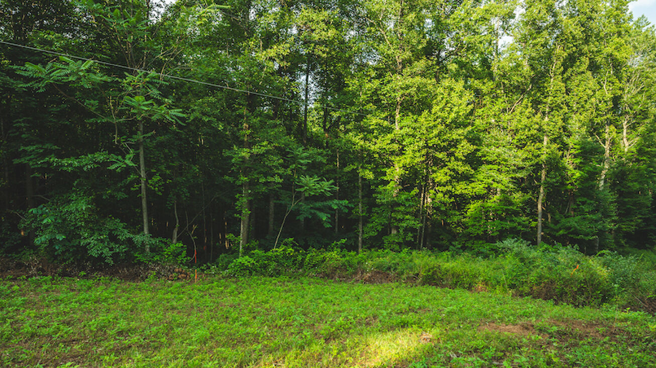 Lot 9 Woolwine Hwy, Woolwine, VA 24185 | Crexi.com