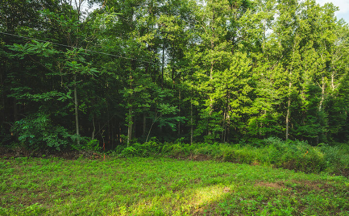 Lot 9 Woolwine Hwy, Woolwine, VA 24185 | Crexi.com