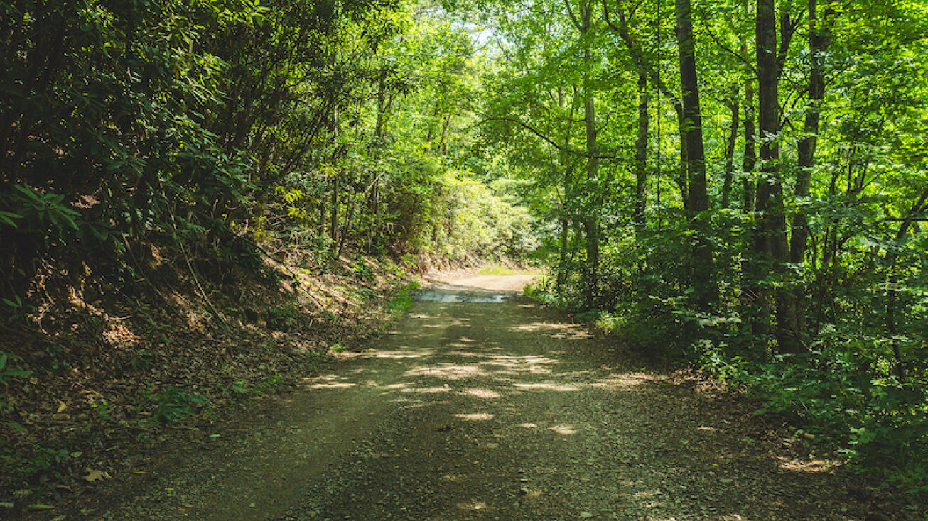 Lot 11 Woolwine Hwy, Woolwine, VA 24185 | Crexi.com