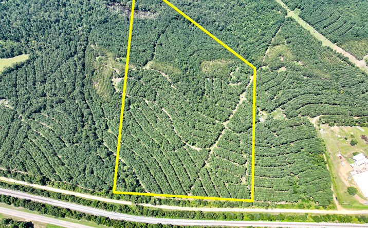 06 Highway 49, Avinger, TX 75630 | Crexi.com