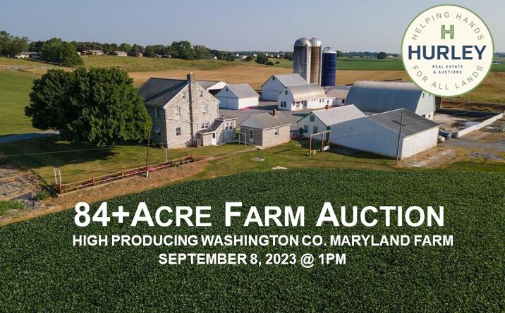 Matthew Hurley - Hurley Auctions | Crexi