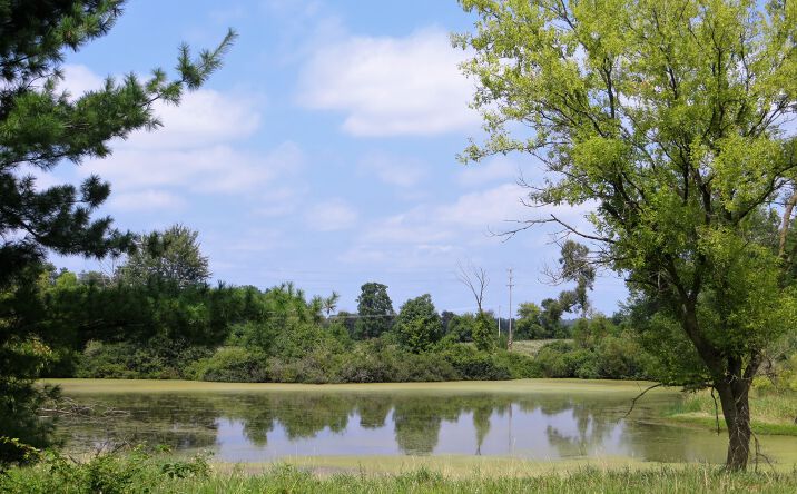 11000 Sooten Rd, Manchester, MI 48158 | Crexi.com