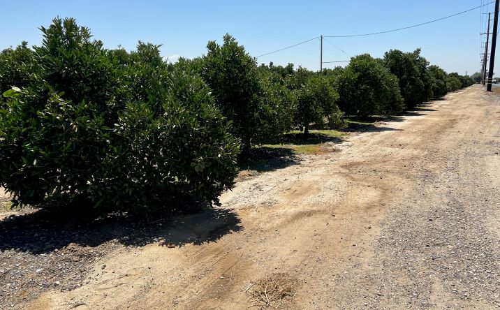 N Spruce Rd, Exeter, CA 93221 | Crexi.com