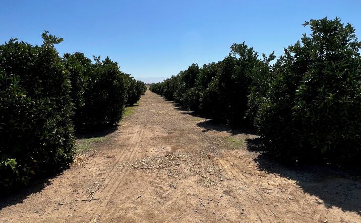 Ave 72, Terra Bella, CA 93270 | Crexi.com