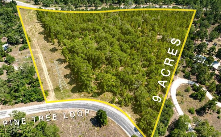 0000 Pine Tree Loop, Circle D-KC Estates, TX 78602 | Crexi.com
