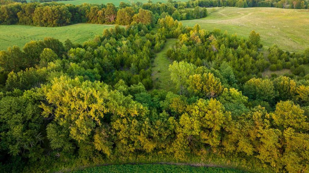 000 April Drive, Other, MO 64646 | Crexi.com