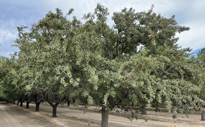 2835 N HOWARD AVE Kerman CA 93630-9617 APN: 01640007 | Crexi.com