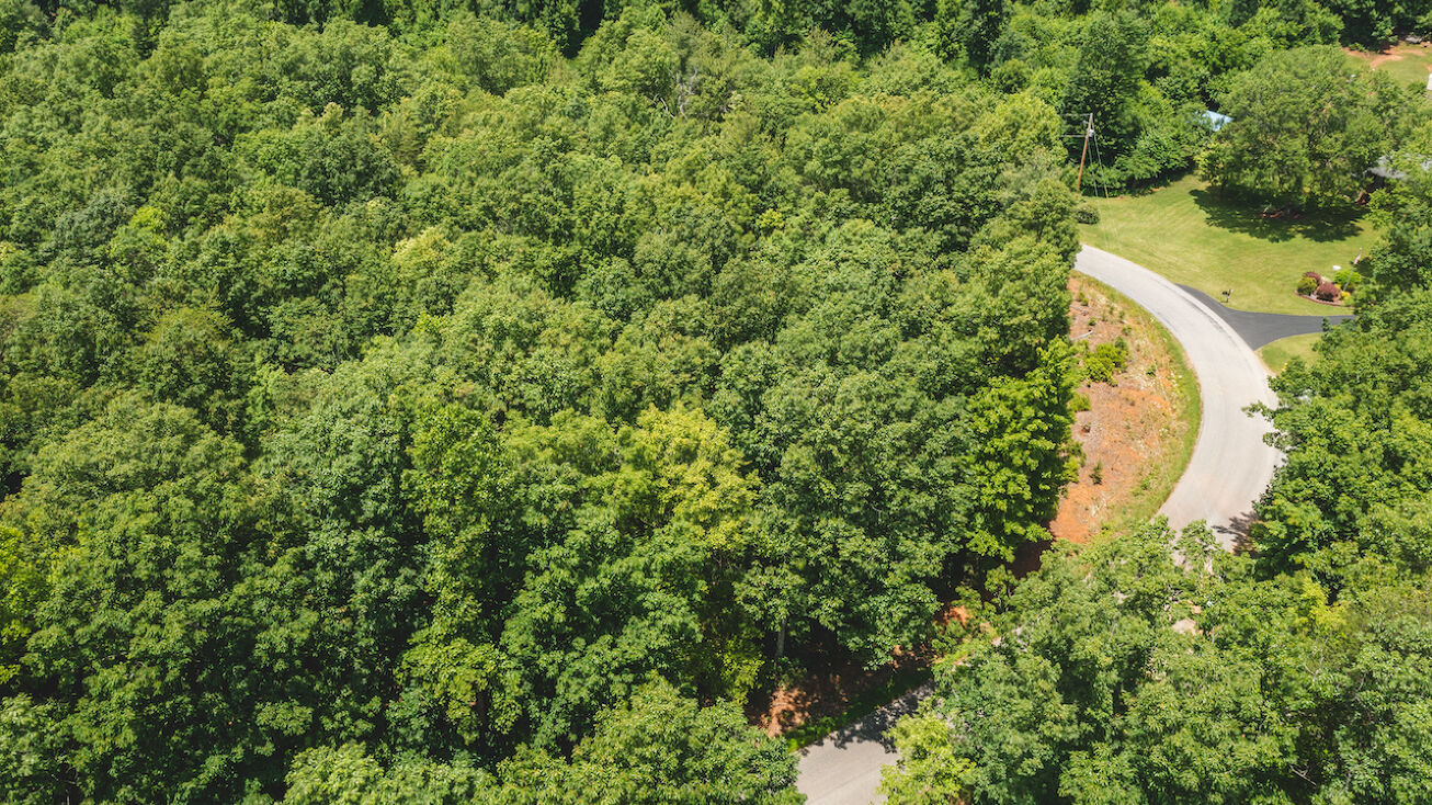 Lot 6 Lee Elgin Rd, Woolwine, VA 24185 | Crexi.com