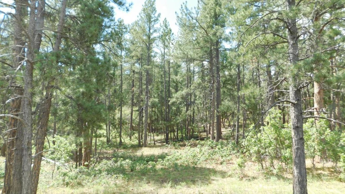 4523 Cheyenne Dr, Larkspur, CO 80118 | Crexi.com