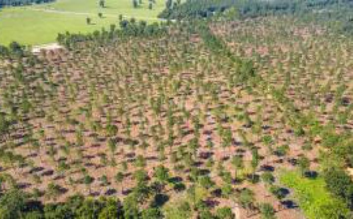 (Lot 10) Shadow Lane / Camp Rawls Rd, Wagener, SC 29164 | Crexi.com