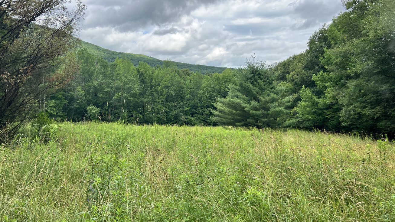 341 Smith Rd, Richmondville, NY 12149 | Crexi.com