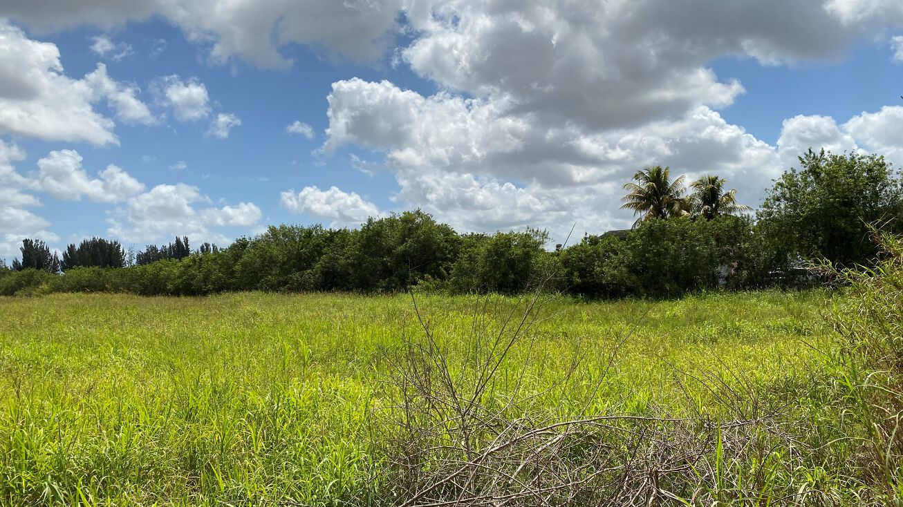 12475 SW 197th Ave, Miami, FL 33196 | Crexi.com