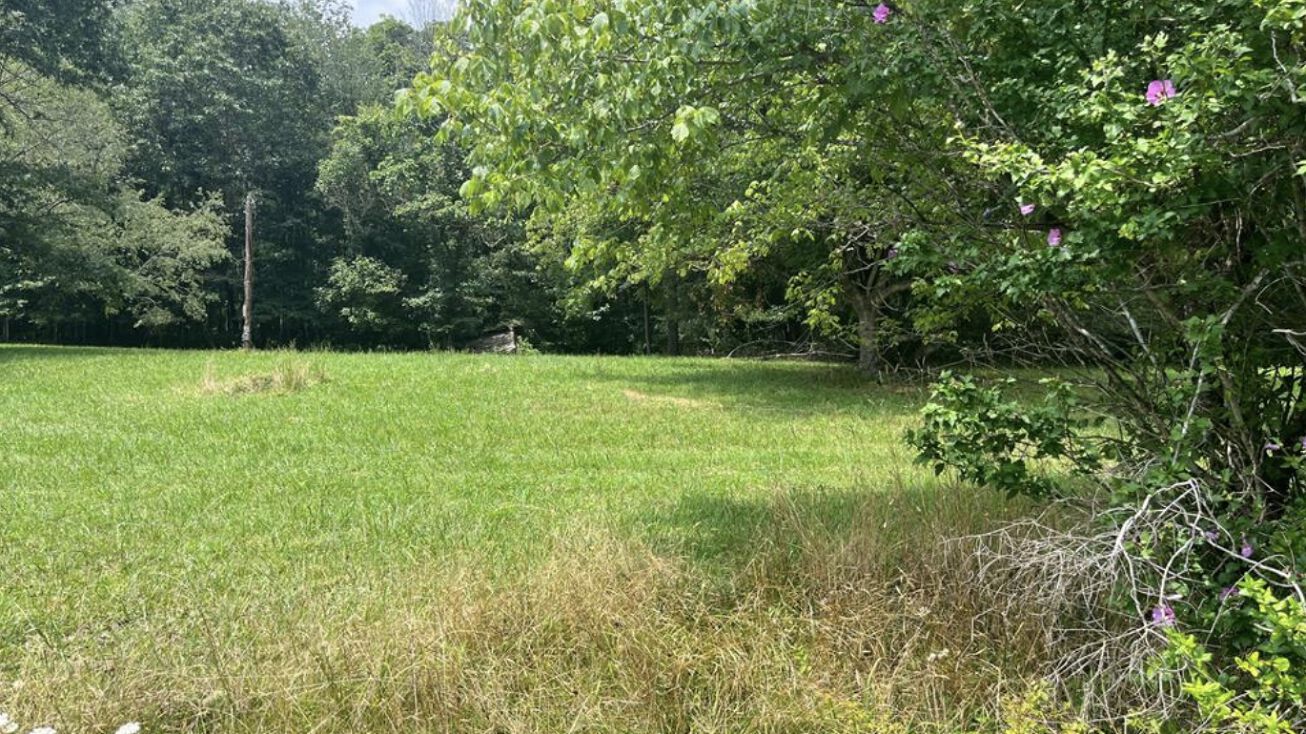 Lot 3 Daw Road, Raven, US 24639 | Crexi.com