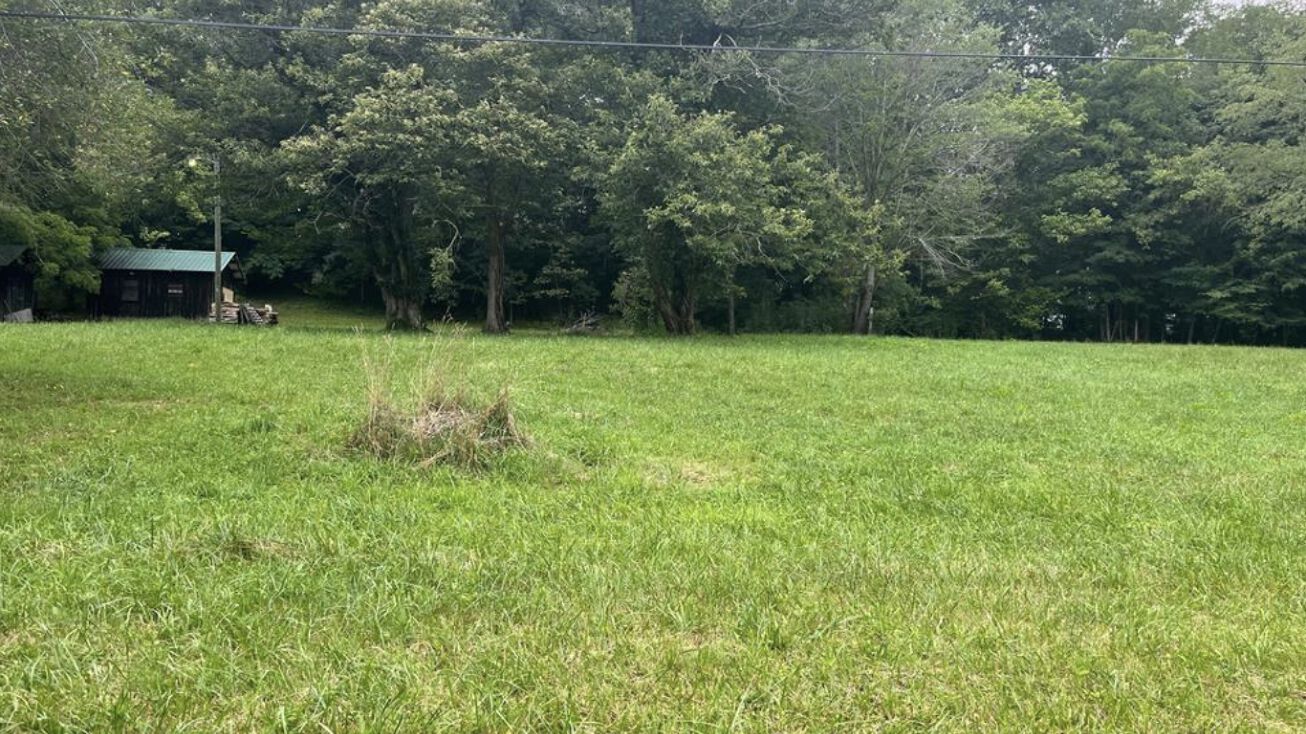 Lot 5 Daw Road, Raven, VA 24639 | Crexi.com